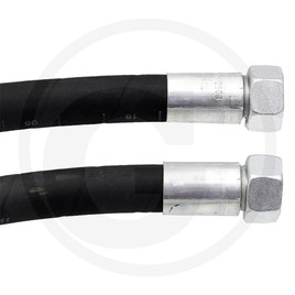 DKOL x DKOL online kaufen